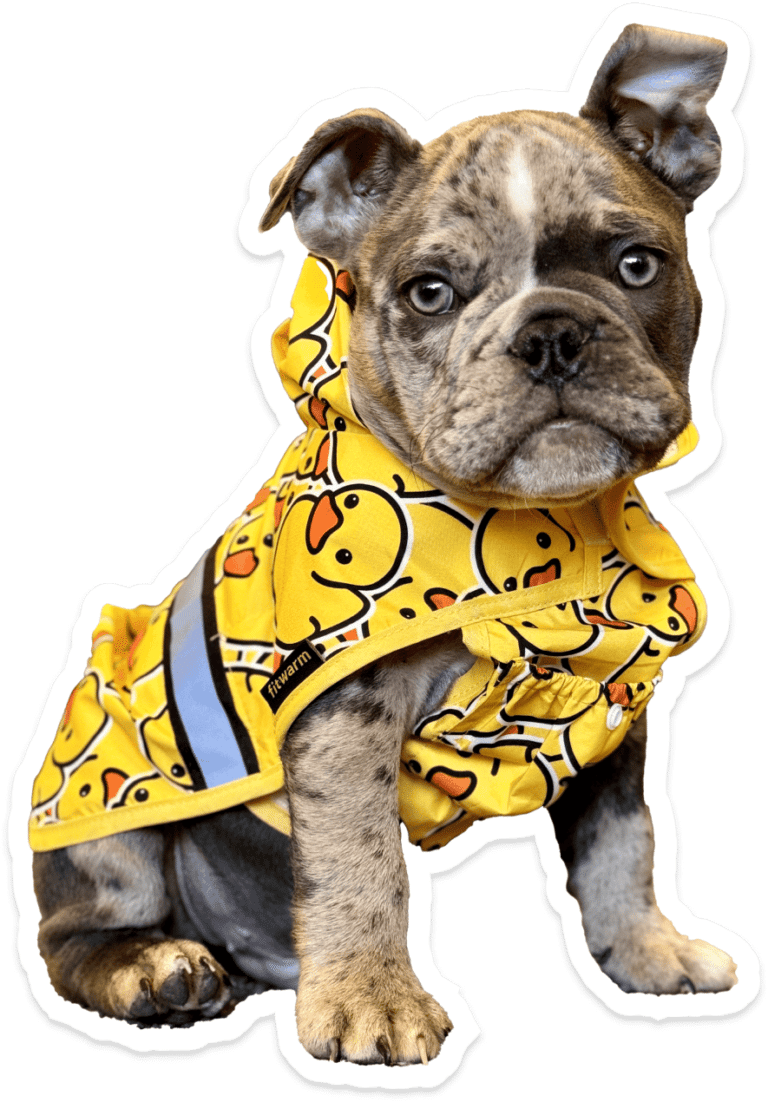 LocalRoofs: We'll treat your roof like it's ours